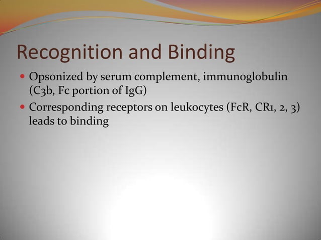 Acute and chronic inflammation 1 robbins | PPTX | Blood Disorders ...