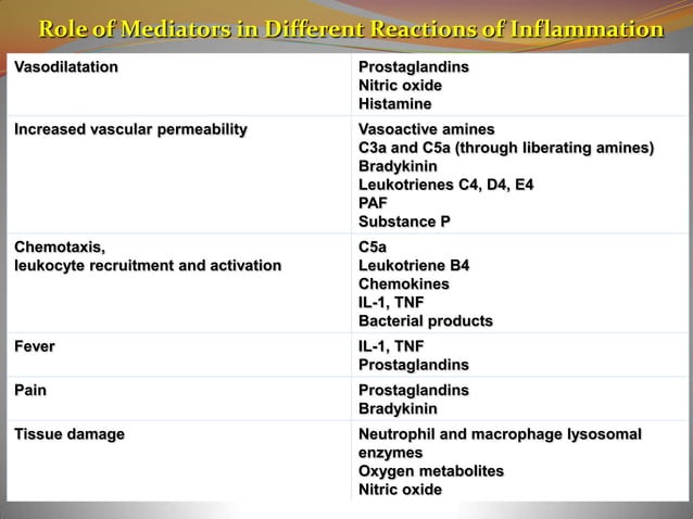 Acute and chronic inflammation 1 robbins | PPTX | Blood Disorders ...