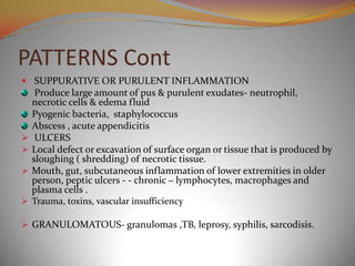 Acute and chronic inflammation 1 robbins | PPTX