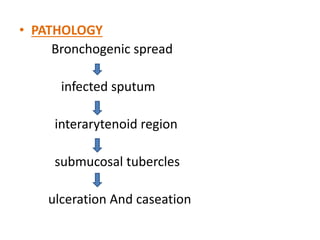 Acute and chronic inflammations of larynx | PPT