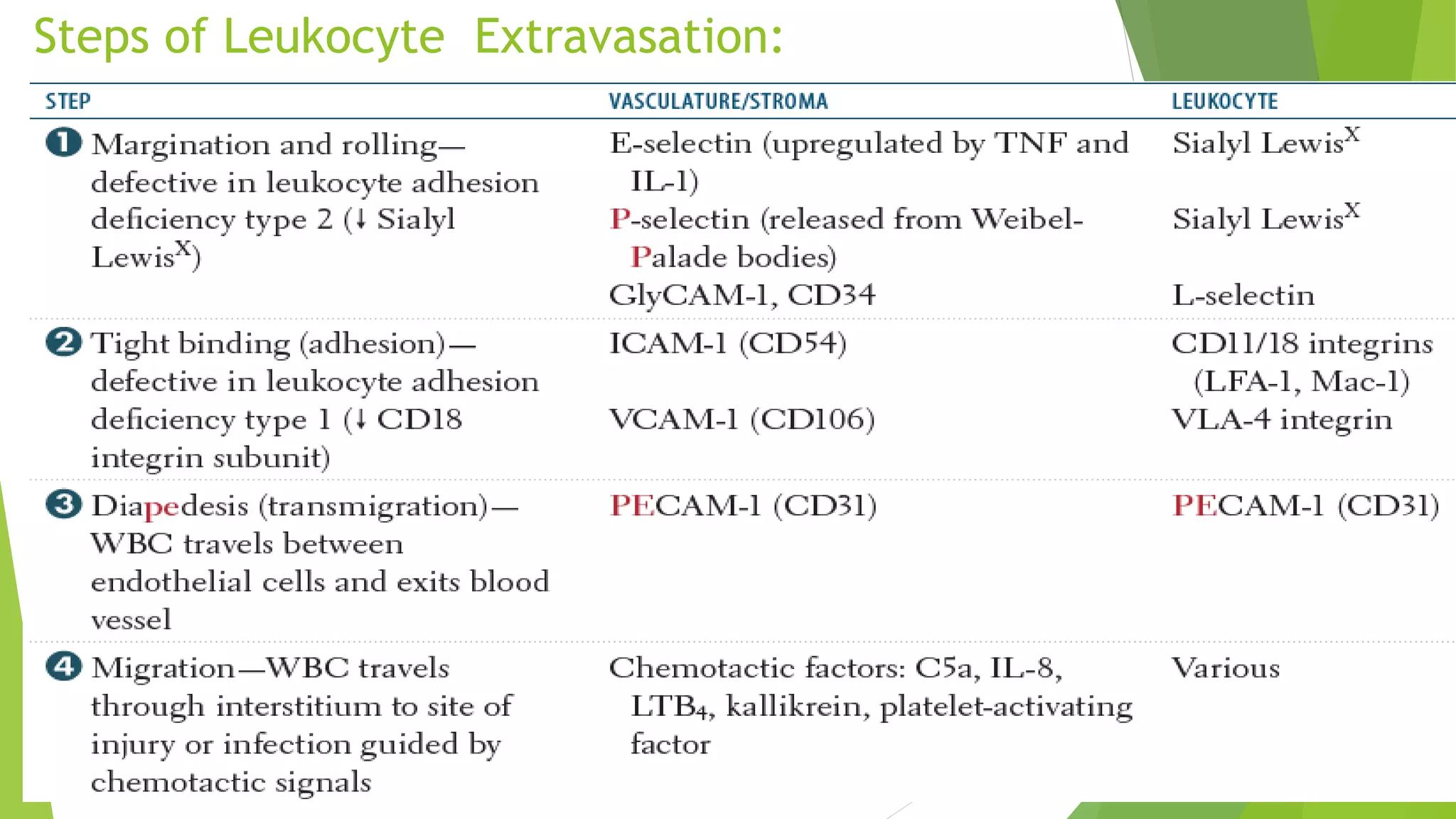 Acute and Chronic inflammation & Wound Healing | PPTX