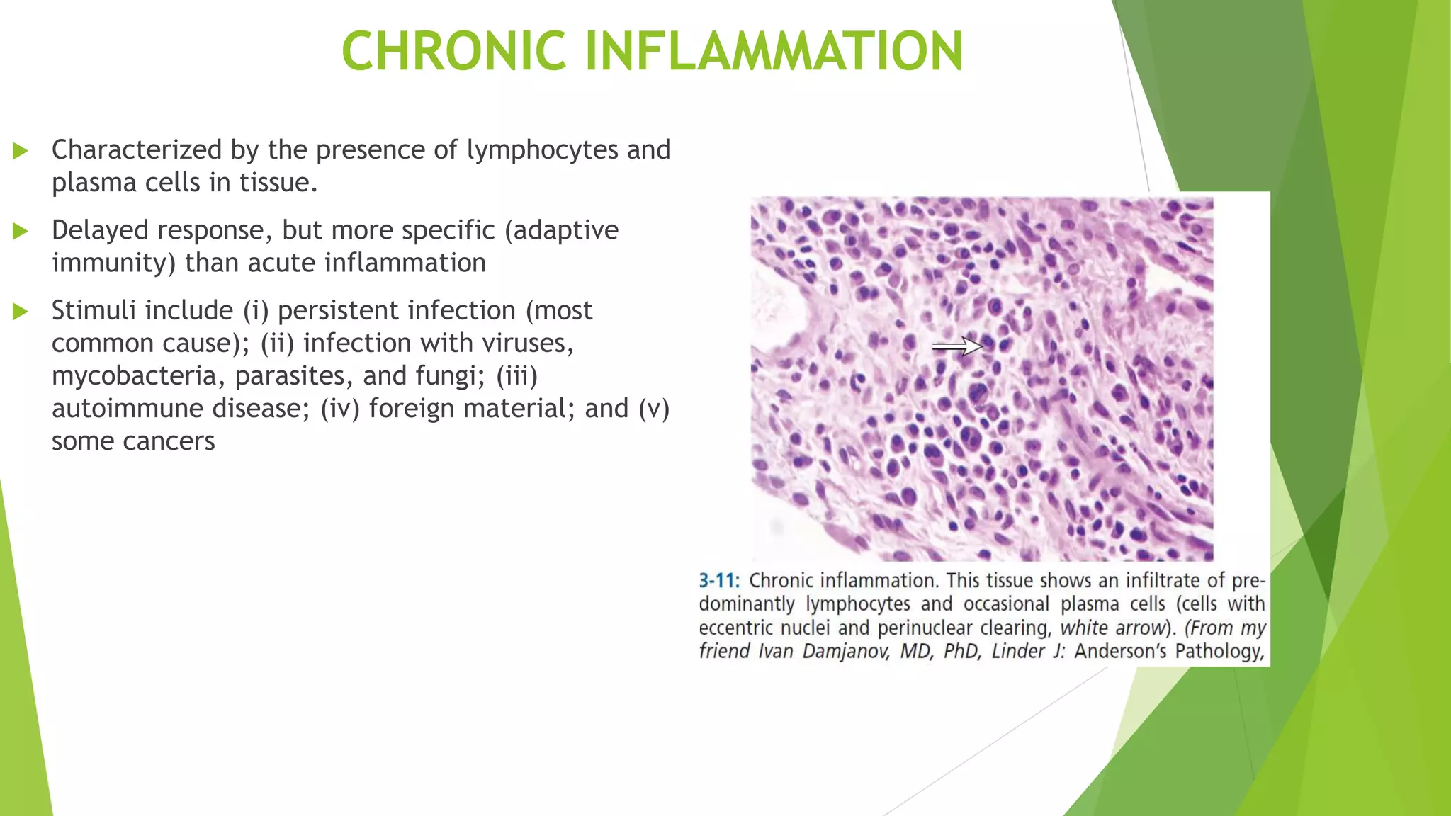 Acute and Chronic inflammation & Wound Healing | PPTX