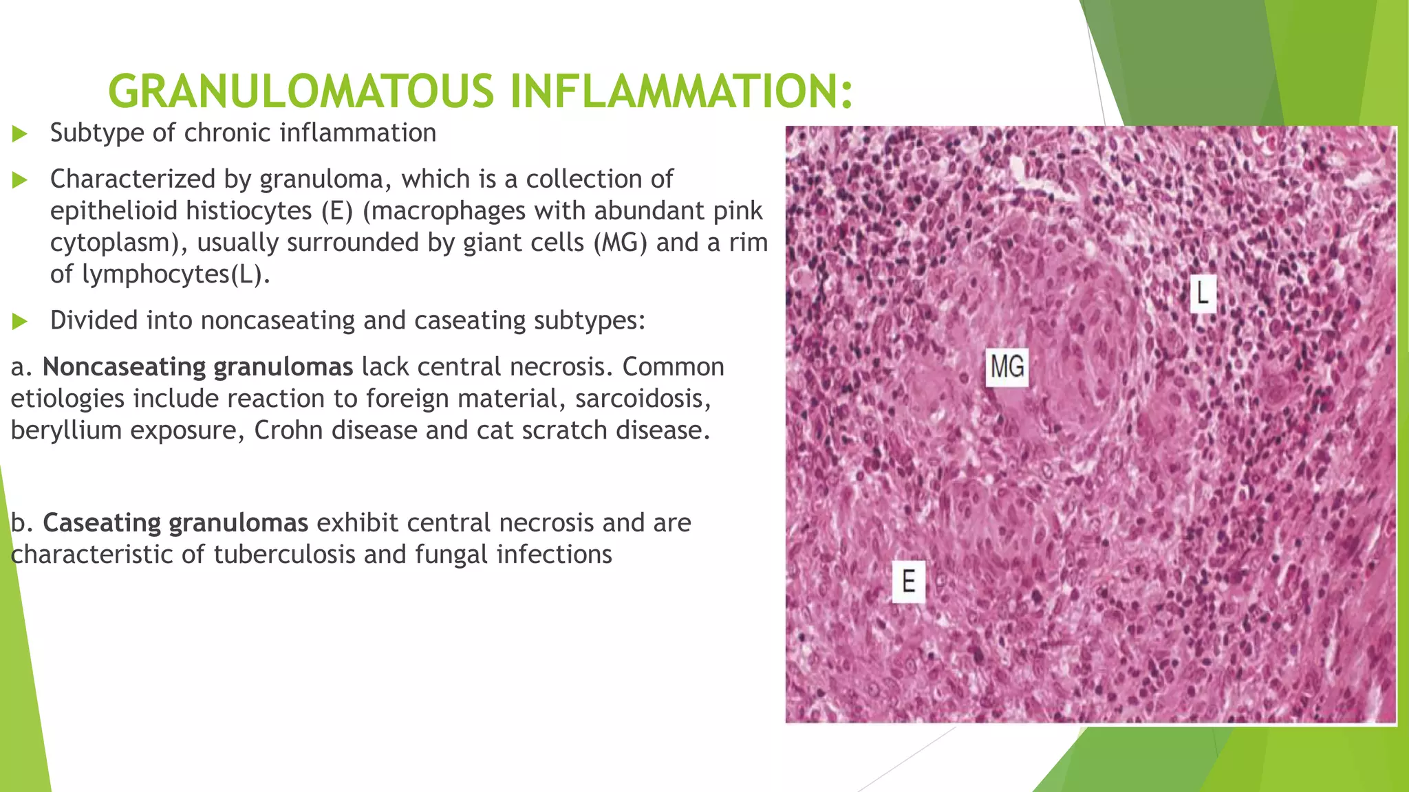 Acute and Chronic inflammation & Wound Healing | PPTX