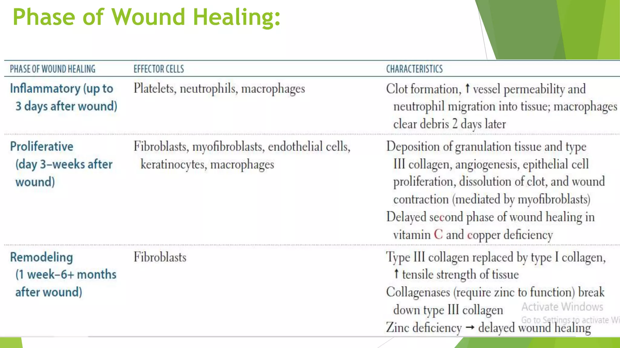 Acute and Chronic inflammation & Wound Healing | PPTX