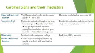 Acute and Chronic inflammation & Wound Healing | PPTX