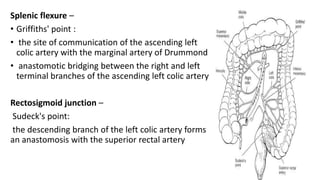 Acute and chronic mesenteric ischaemia(1) | PPTX