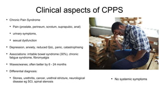 Acute and chronic prostatitis presentation IDF Malaga | PPTX