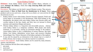 Comprehensive Overview of Acute and Chronic Renal Failure: Causes ...