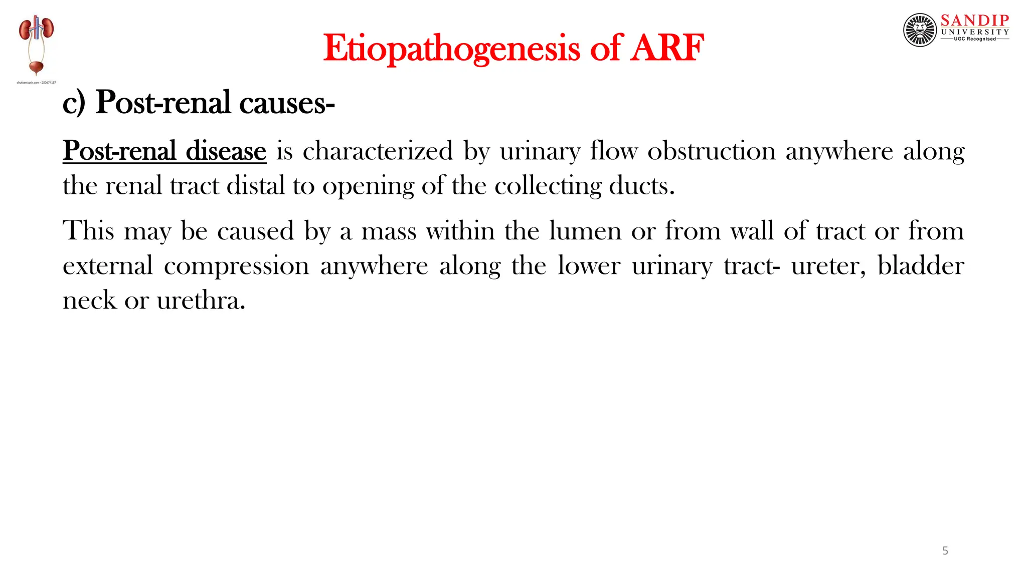 Acute and Chronic Renal Failure......... | PDF