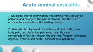 Acute and Chronic Seminal Vesiculitis Have Different Symptoms | PPT