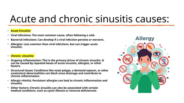 acute and chronic sinusitis haneen zayed | PPT