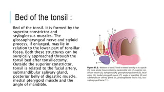 Acute and chronic tonsilitis | PPTX