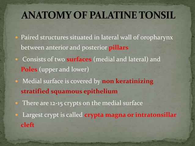 ACUTE AND CHRONIC TONSILITIS.pptx