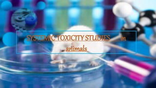 Acute and chronic toxicity studies in animals | PPTX