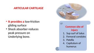 Acute and Overuse Injuries unlock.nnnpptx | PPTX