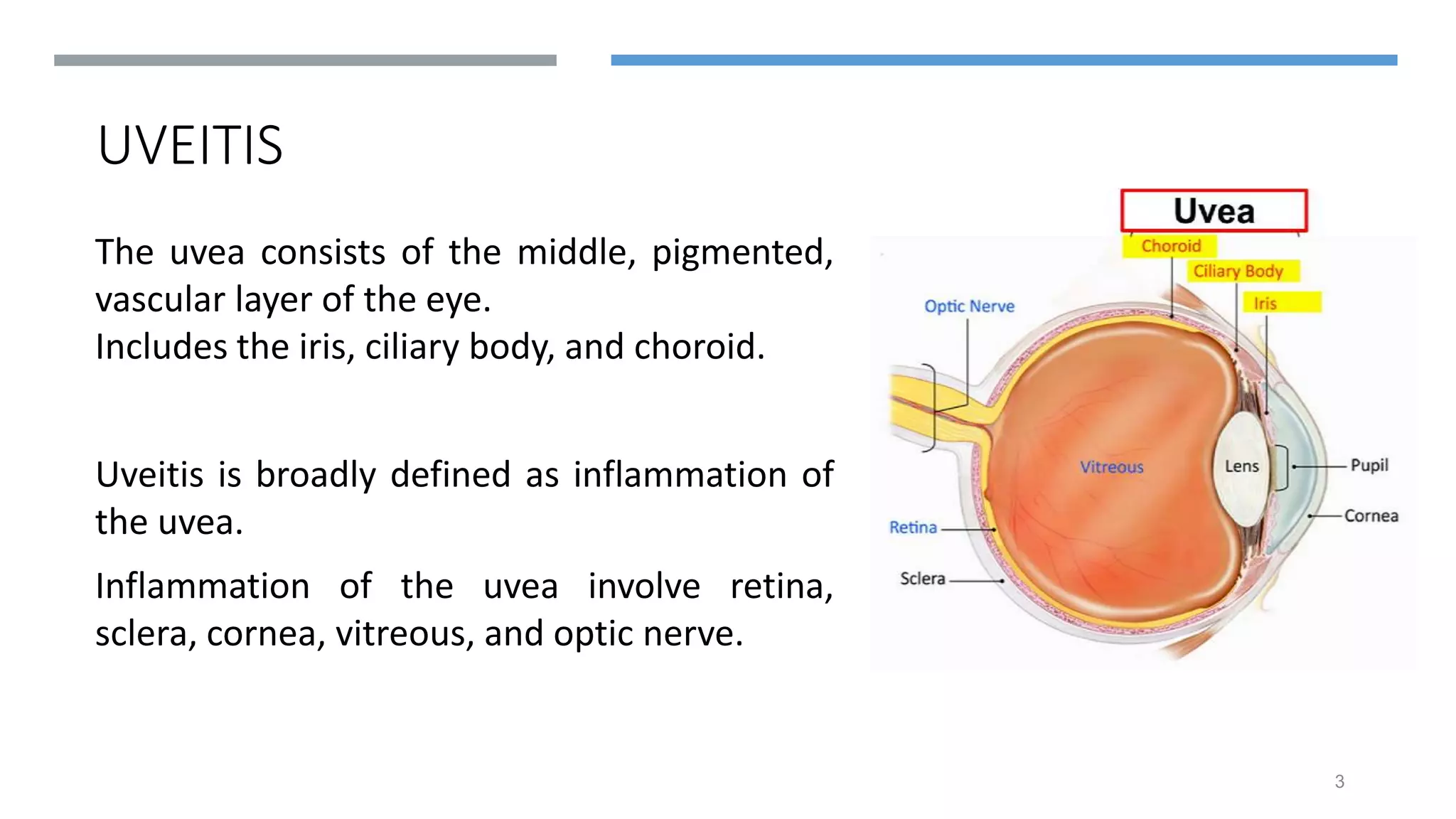 Acute anterior uveitis by Dr. Rubana.pptx