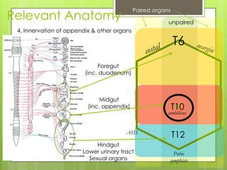 Acute appendicitis | PPTX