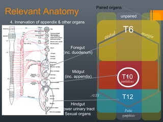 Acute appendicitis | PPT