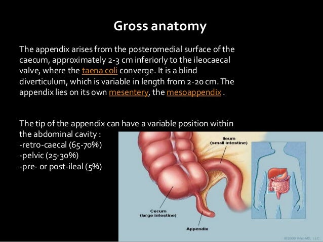 Imaging of Acute Appendicitis