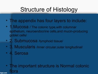 Acute appendicitis | PPT