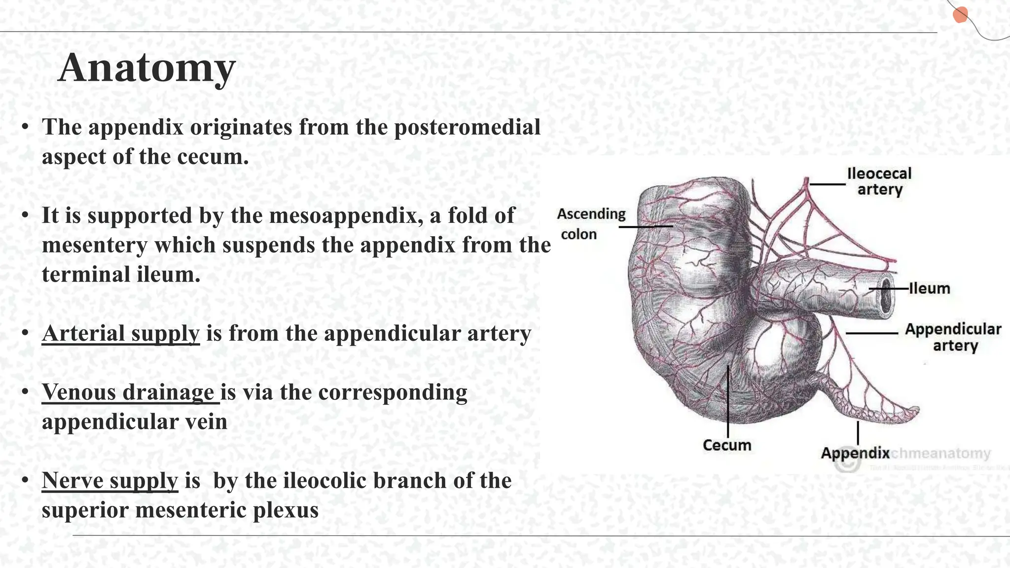 Acute appendicitis.. Saudi med students .pptx