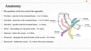Acute appendicitis.. Saudi med students .pptx