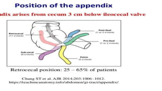 ACUTE APPENDICITIS.pptx | Digestive Disorders | Diseases and Conditions