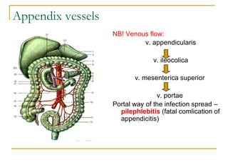 Acute appendicitis.pdf