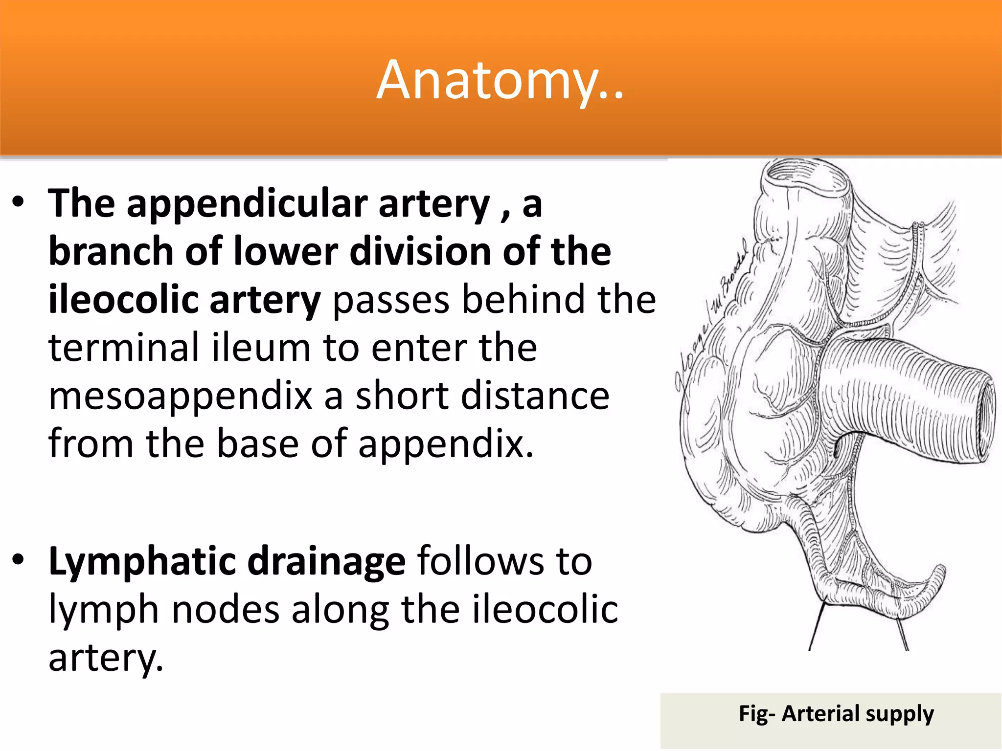 Acute appendicitis.ppt