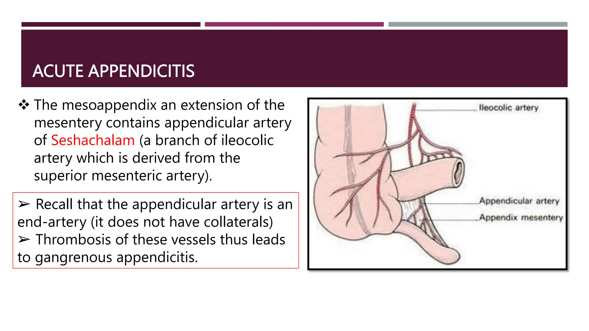 ACUTE APPENDICITIS: anatomy, aetiology, types, clinical features.pptx ...