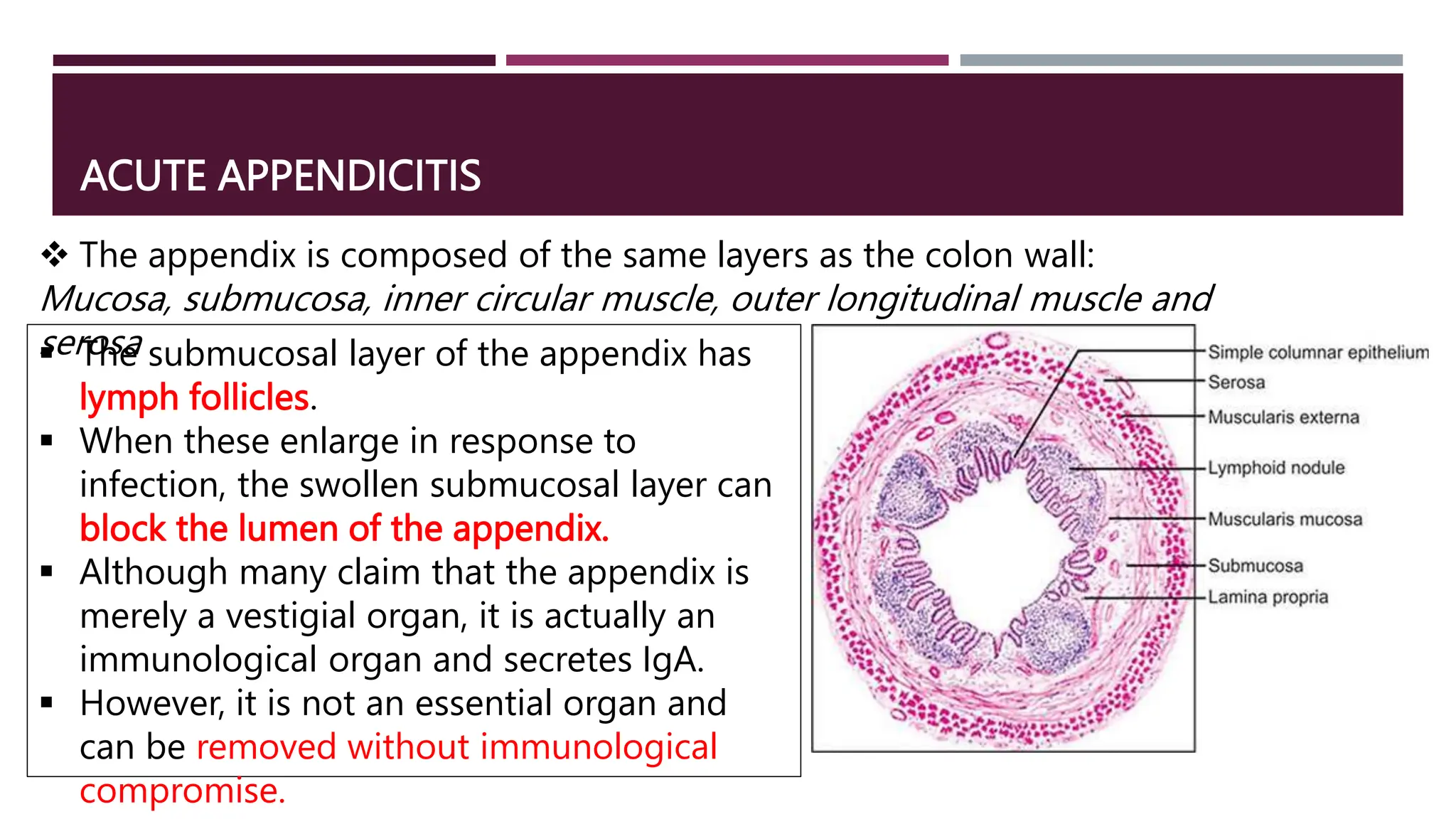 ACUTE APPENDICITIS: anatomy, aetiology, types, clinical features.pptx
