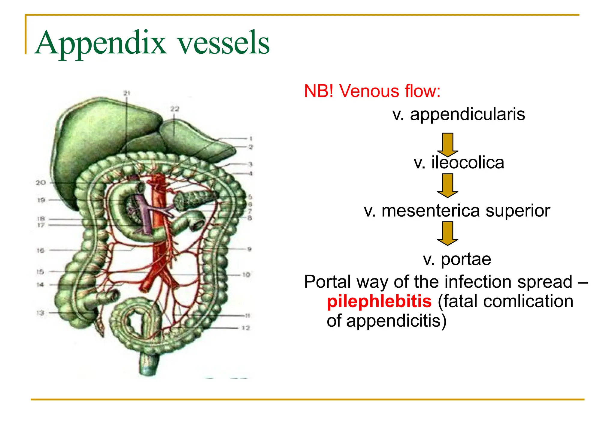 Acute appendicitis.pptx67865888888888888888 | PPTX