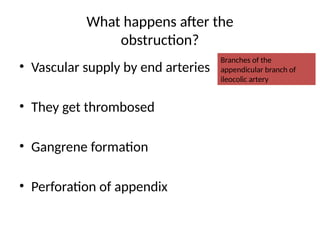 Acute Appendicitis in detail and it's management.pptx