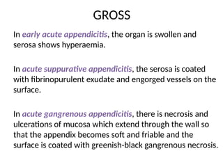 ACUTE APPENDICITIS and lobar pnemonia - acute inflammation | PPTX