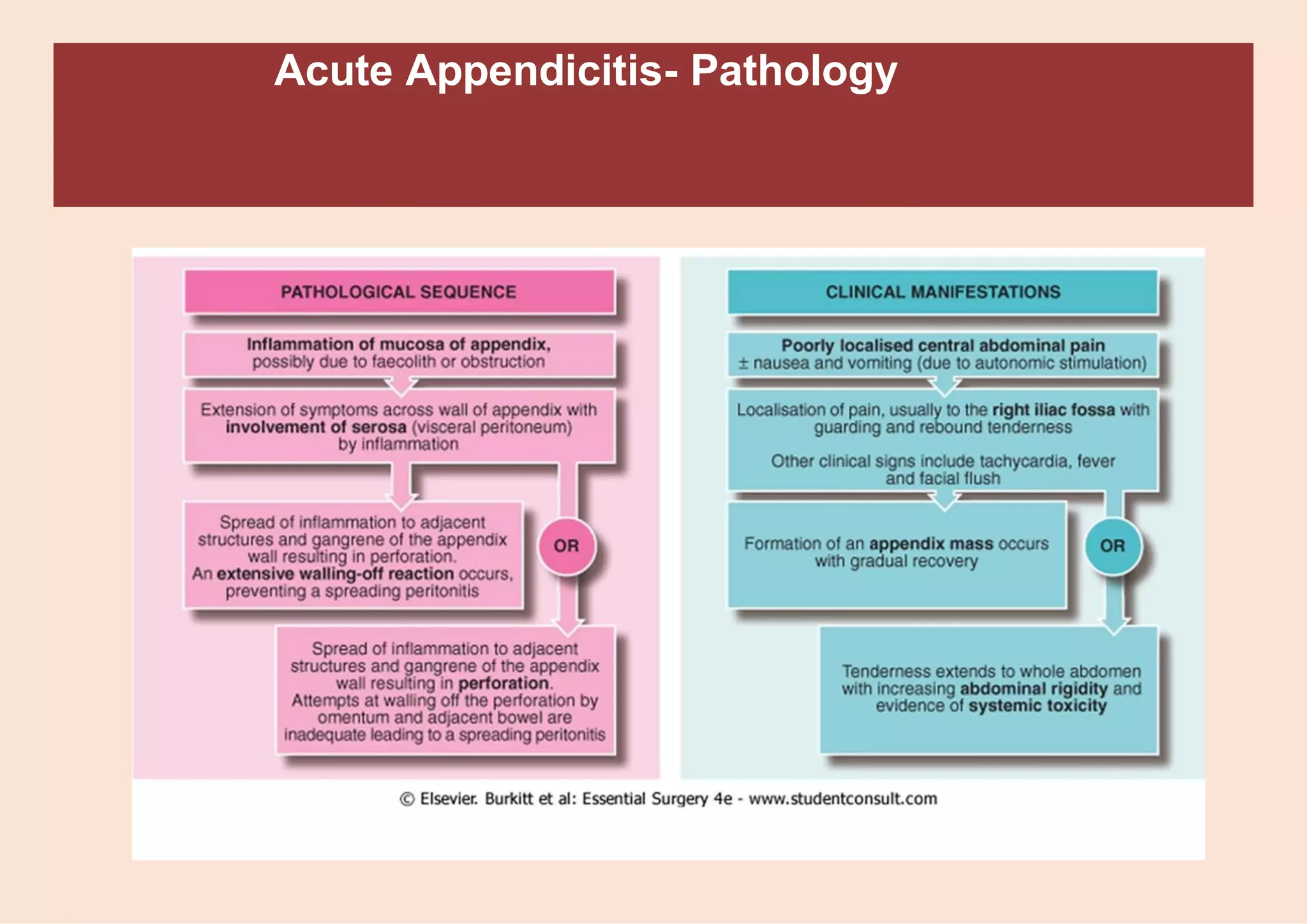 Acute Appendicitis- Appendicectomy- Open & Laparoscopic.pdf