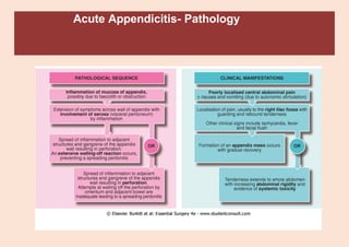 Acute Appendicitis- Appendicectomy- Open & Laparoscopic.pdf | Surgery ...