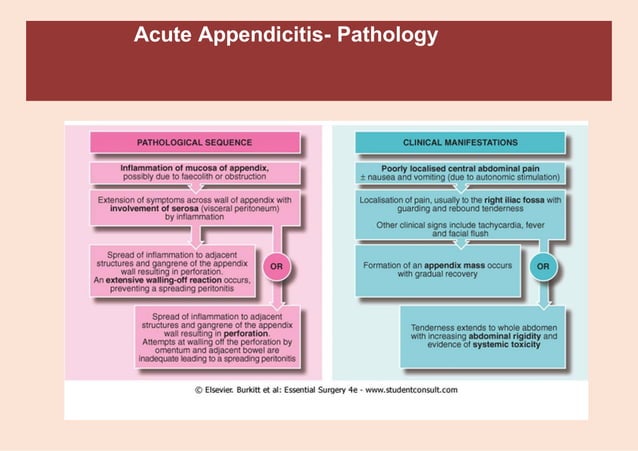 Acute Appendicitis- Appendicectomy- Open & Laparoscopic.pdf | Surgery | Medical Health