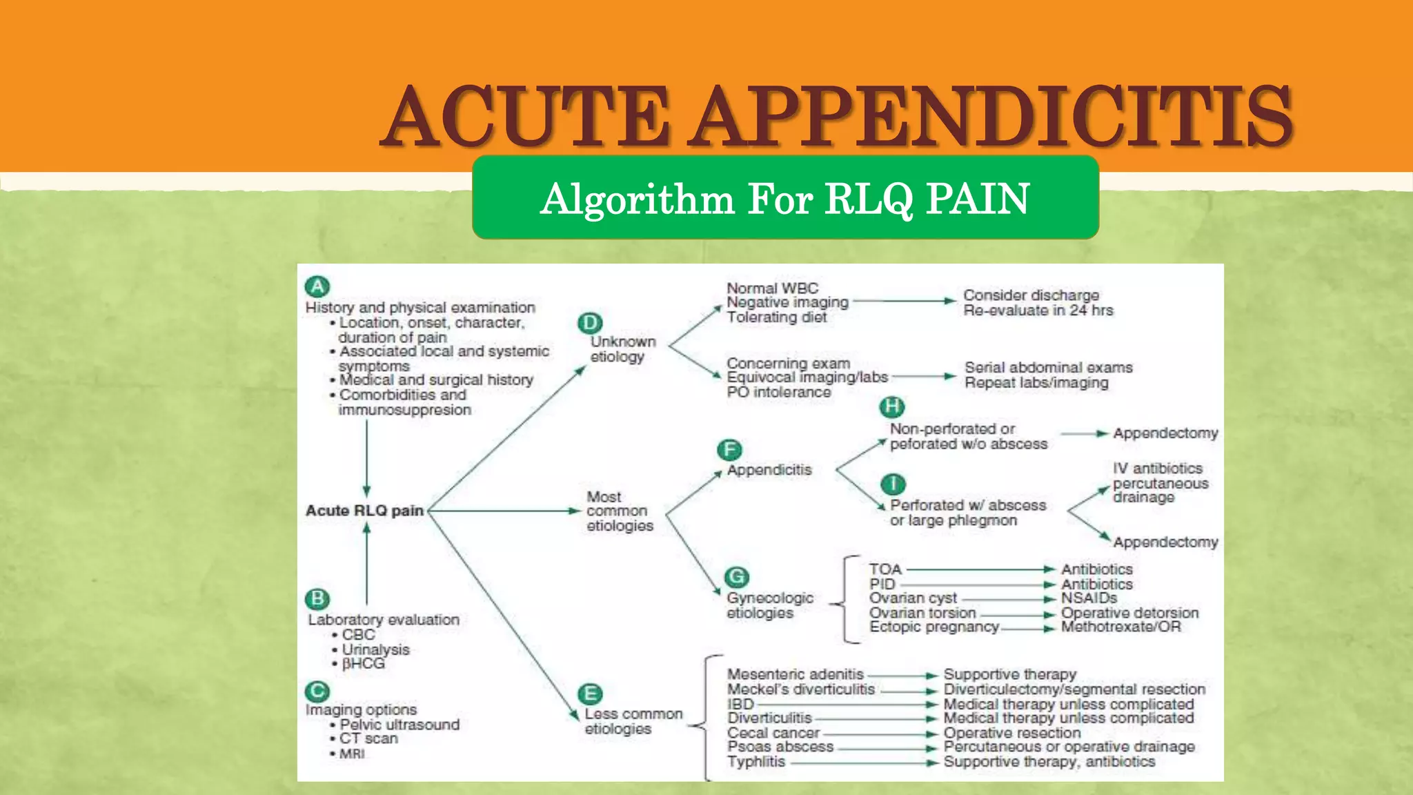 Acute appendicitis / RLQ Pain | PPTX