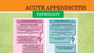 Acute appendicitis / RLQ Pain | PPTX