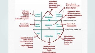 Acute appendicitis and Acute Abdominal Pain | PPTX