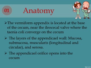 Acute appendicitis in adults - Hoang Cuong HMU | PDF | Digestive ...