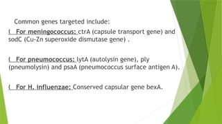 ACUTE BACTERIAL MENINGITIS FOR MICROBIOLOGY | PPT