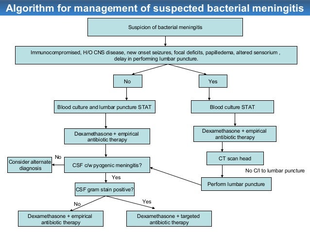 Acute bacterial meningitis seminar swastik
