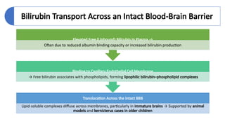 Acute bilirubin encephalopathy in neonates.pptx