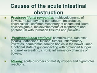Acute bowel obstuction (lecture mogilevec e.v) | PDF