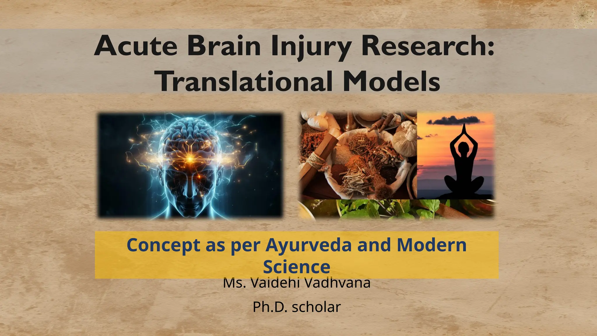 Acute Brain injury research Translational models | PPT