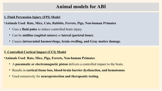 Acute Brain injury research Translational models | PPTX
