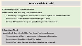 Acute Brain injury research Translational models | PPT