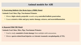 Acute Brain injury research Translational models | PPTX