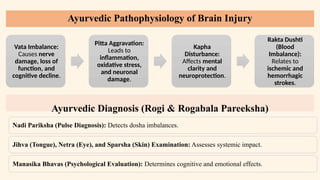 Acute Brain injury research Translational models | PPT